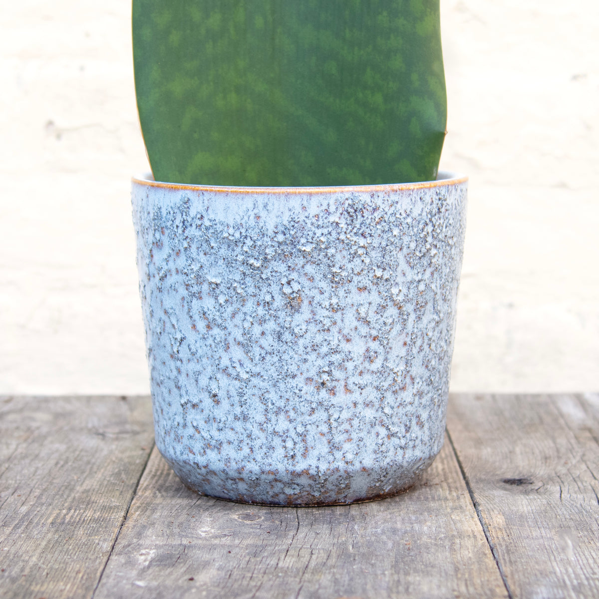 Textured Blue Plant Pot 16cm – Moose Plant Shop