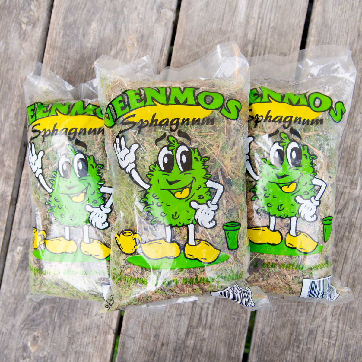 Sphagnum Moss – Moose Plant Shop